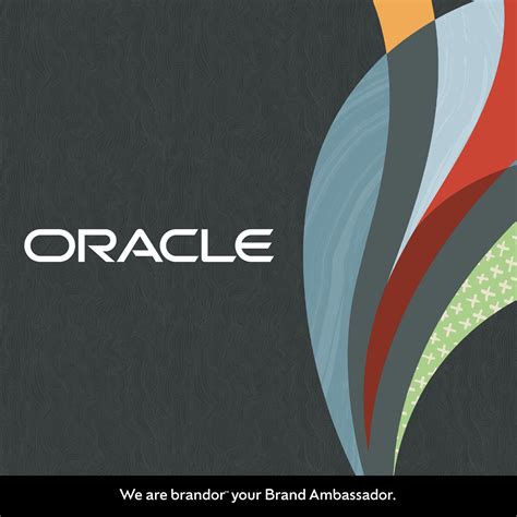 Oracle Brand Lookbook By Delano Bartolomei Issuu