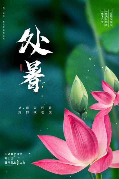 二十四节气处暑节气模板 包图网