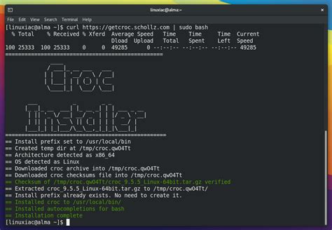 Croc Transfer Files And Folders Securely Between Computers