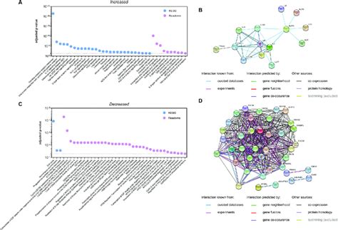 enrichment analysis of differentially expressed genes identifies