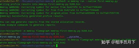 Python Memray