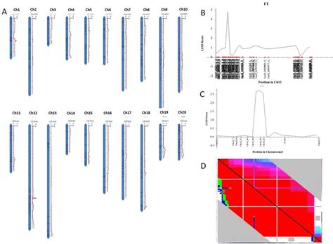 Genetic Map Of F 2 Populations With Qtls Constructed With Qtl Download Scientific Diagram