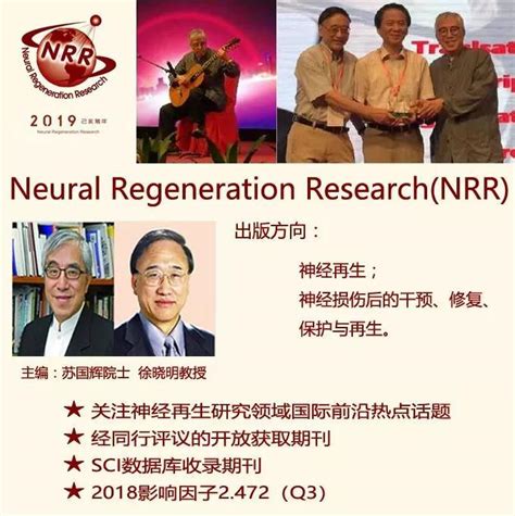 中国神经再生研究（英文版）》杂志2020年最受欢迎文章分享 知乎
