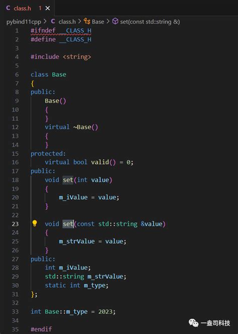 Python调用C 之PyBind 二 pybind 字符串参数 CSDN博客