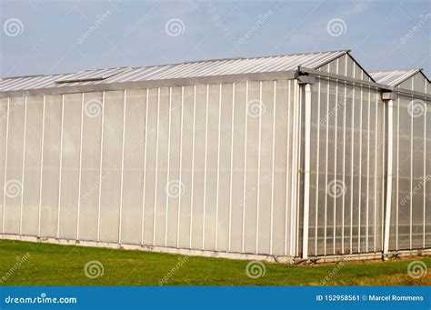 Greenhouse Glass Exterior Stock Image Image Of Green 152958561