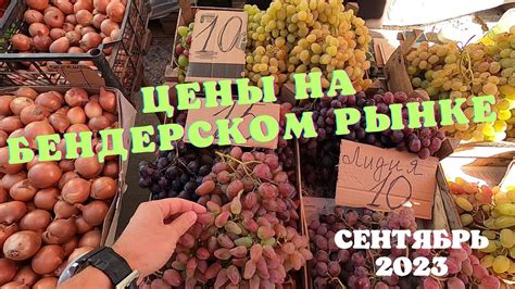 Бендерский рынок Цены на Бендерском базаре в сентябре 2023