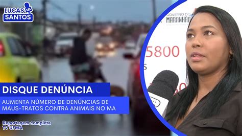 DISQUE DENÚNCIA Aumenta número de denúncias de maus tratos contra