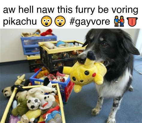 Furry Vores Pikachu By Zuckerbotwashere On Deviantart