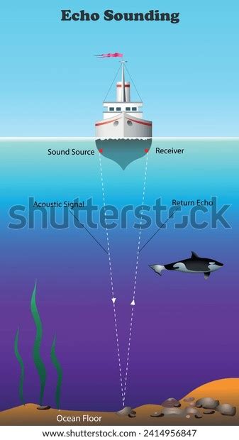 Echo Sounding Diagram Basic Principle Echo Stock Vector Royalty Free 2414956847 Shutterstock