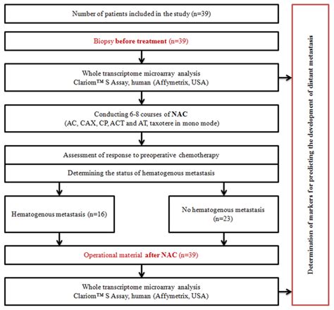 Whole Transcriptome Analysis Of Breast Cancer Tumors During Neoadjuvant