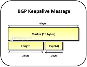 BGP Peers BGP Sessions BGP Messages IpCisco