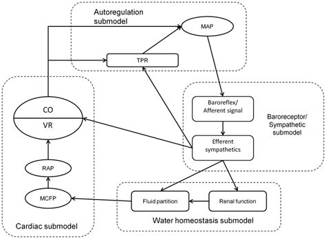 schematic of interactions between the submodels ovals represent model