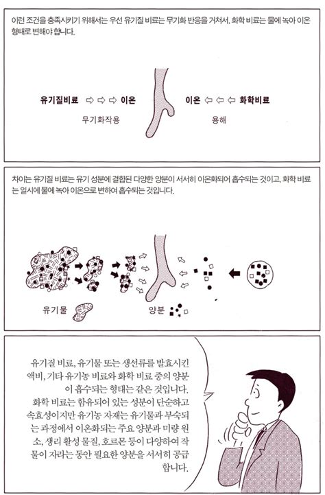 화학비료와 유기질비료의 양분 흡수 차이 네이버 블로그