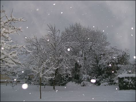 BONNES RAISONS ET POURTANT JE N AIME PAS LA NEIGE