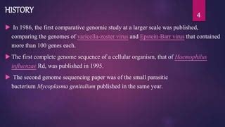 Comparative Genomics In Eukaryotes Organelles PPT