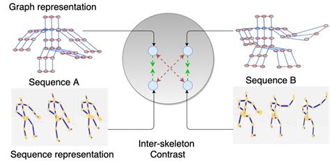 Skeleton Contrastive D Action Representation Learning Proceedings Of