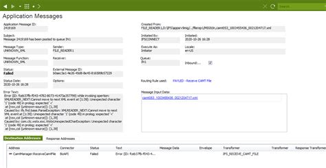 upload error camt file ifs community