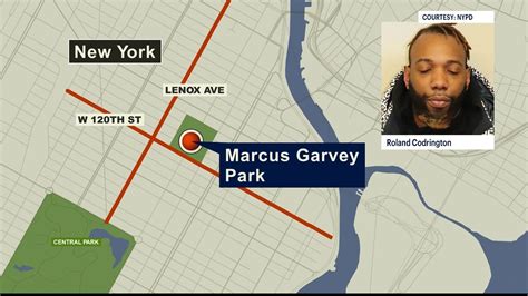Nypd Suspect Arrested For Fatal Stabbing Of Rockland Doctor Slew Of