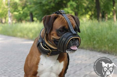 Excellent Air Flow Leather Boxer Muzzle For Daily Walks M881013 Open