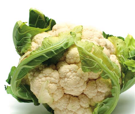 Bloemkool Van De Grond