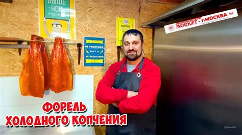 💥🔥💣 ФОРЕЛЬ ХОЛОДНОГО КОПЧЕНИЯ 💣🔥💥 КОПТИЛЬНЯ МОСКИТ - YouTube