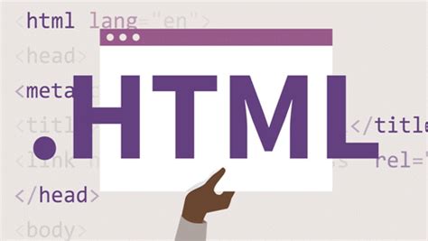 html basics revision notes class 10 pdf download