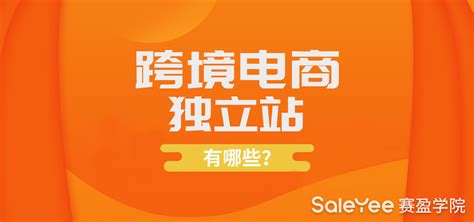 跨境电商独立站有哪些平台？ 赛盈学院