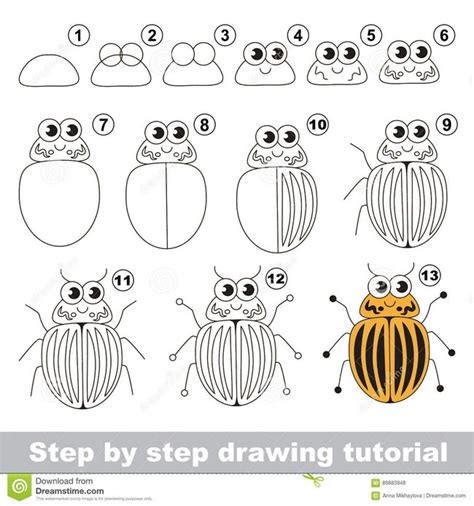 Amazing Bug Drawings With Step By Step Guide DIY Crafts