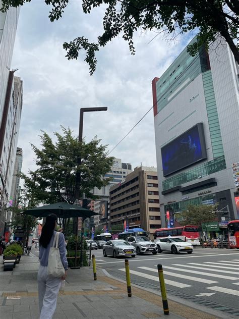 브라질리언 레이저제모 항문포함 후기 및 가격510회까지함 내돈내산 후기 종아리 등등 네이버 블로그