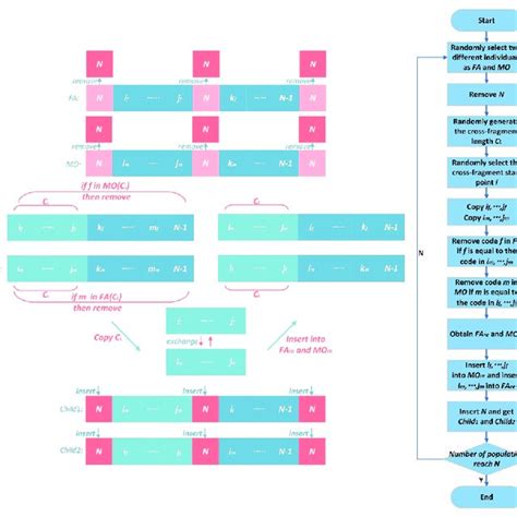 The Schematics And The Flowchart Of The Crossover Operator Download Scientific Diagram