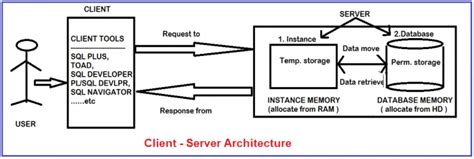 Working With Oracle Database Dot Net Tutorials