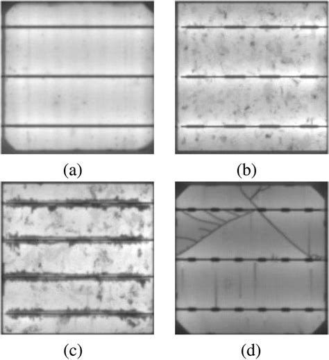 examples of the three cell types used for classification modeling [21] download scientific