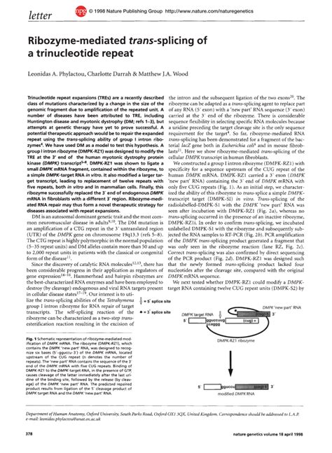 PDF Ribozyme Mediated Trans Splicing Of A Trinucleotide Repeat