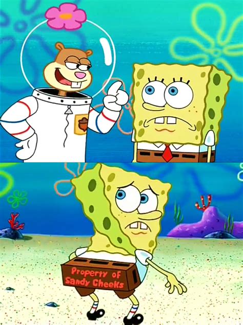 Reminder Spongebobs Ass Belongs To Sandy Rspongebob