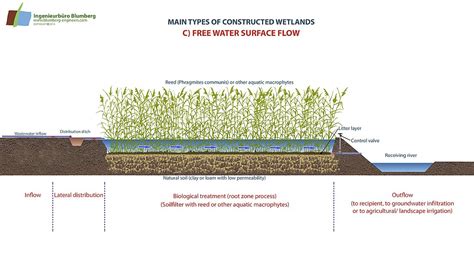 Types Of Constructed Wetlands