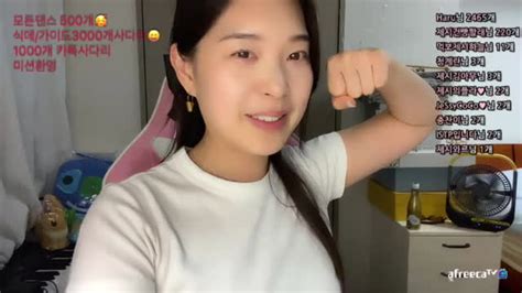 캐치 냥냥펀치 아프리카tv Vod