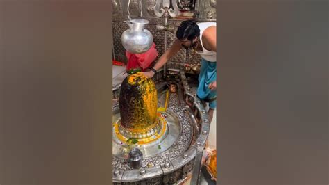 Jay Shree Mahakal 🌺🌺🌺🌺🕉️🕉️🕉️🕉️ Youtube
