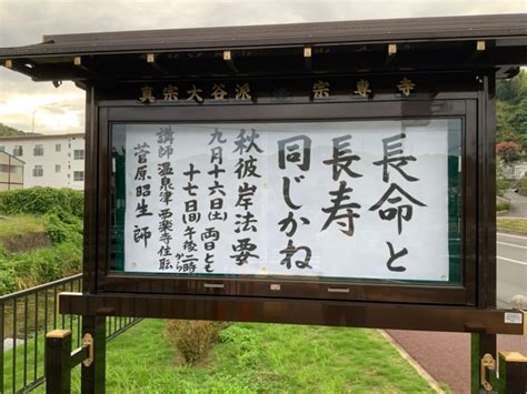 令和5年9月前半 今月の法語 真宗大谷派 宗専寺