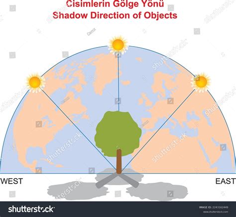 Shadow Direction Objects Education Illustrator Stock Vector Royalty Free 2243162449 Shutterstock