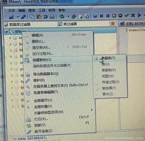 Heidisql 简单使用 Sweetqueen的博客 Csdn博客