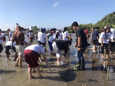 Philwomenians Plant Mangroves For A Greener Future Philippine Womens