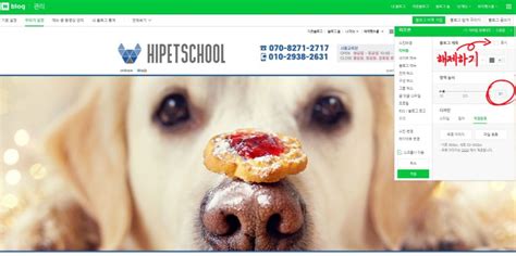 블로그 스킨 변경하기 ☞ 위젯을 활용한 홈페이지형 스킨 제작하는 Tip 네이버 블로그