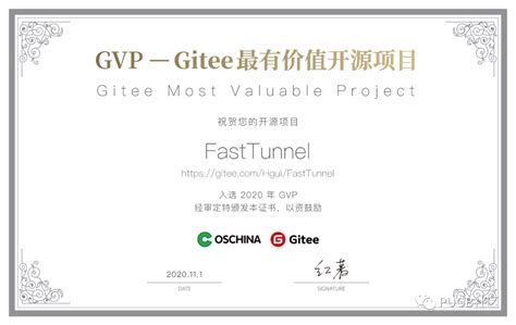 Fasttunnel Net Core开源内网穿透框架 董川民