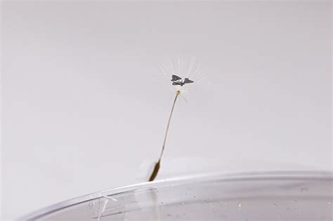 The Microflier A Flying Microchip That Could Track Pollution And Disease