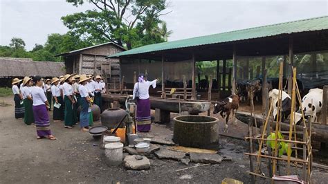 ရွှေတောင်မြို့နယ် စိုက်ပျိုးရေးနှင့်မွေးမြူရေး အထက်တန်းကျောင်းမှ ကျောင