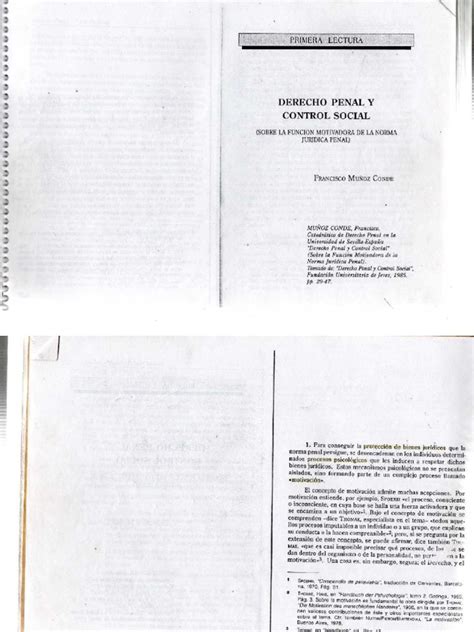 1 Derecho Penal Y Control Social 1 Pdf