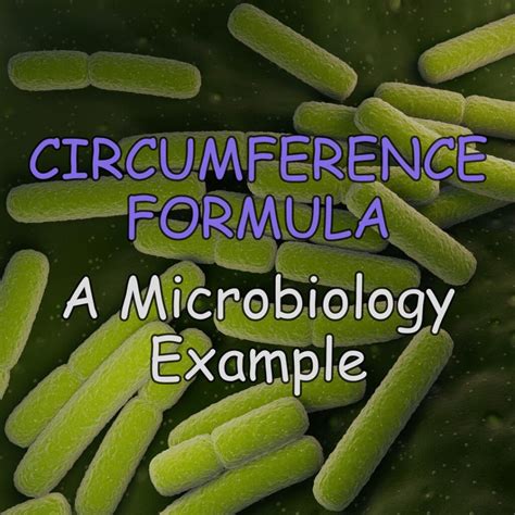 Circumference A Real Life Example From Microbiology