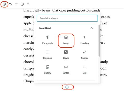 Wordpress Image Positioning Spacing And Alignment Web Training Wheels