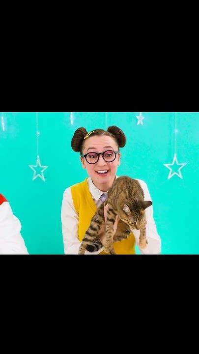 Pojavljuje Se Pravi Mačak Youtube