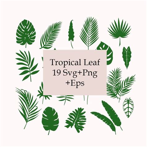 Tropical Leaves Svg Bundle Tropical Leaf Png Monstera Svg Files For